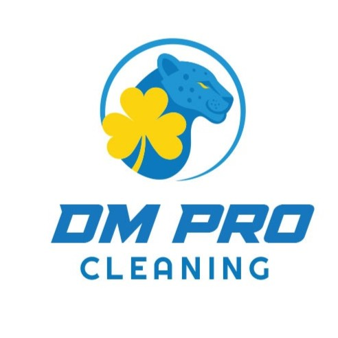 Home - DM Pro Cleaning